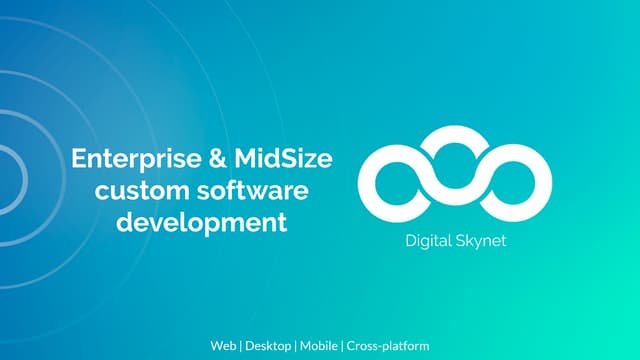 About Digital Skynet Custom Software Development Company Ppt