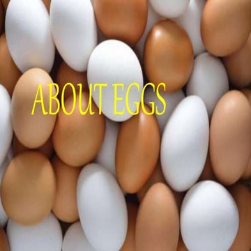 About eggs | PPT