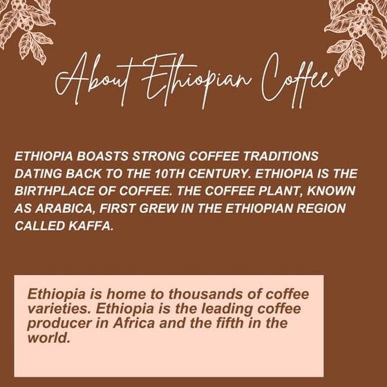 Ethiopia's Coffee Treasure: A Flavorful Journey | PPT