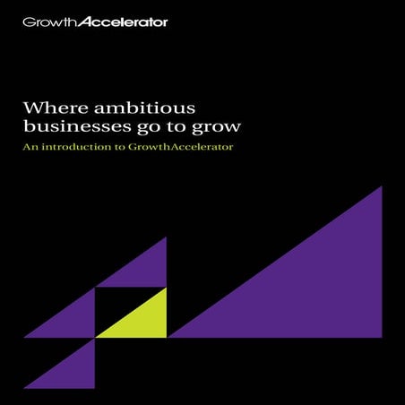 An Introduction to growth accelerator | PDF