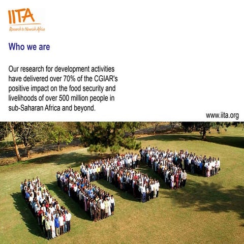 About IITA | PDF