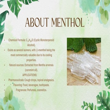 SYNTHETIC MENTHOL AND DIFFERENT ROUTES TO MANUFACTURE.pdf