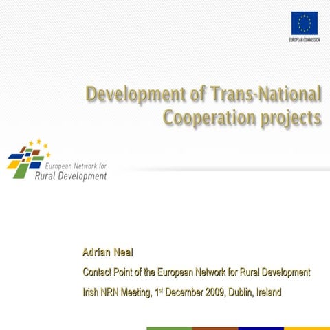 European Experiences of Cross-Border Cooperation | PDF