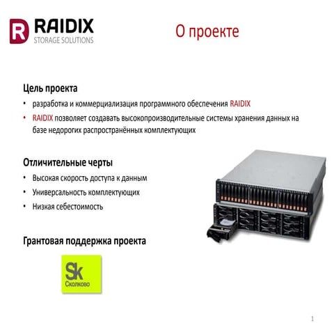 About RAIDIX | PPT