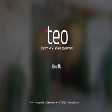 About TEO | Software Development Company | PPT