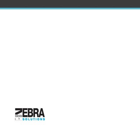 About Zebra It | PPT