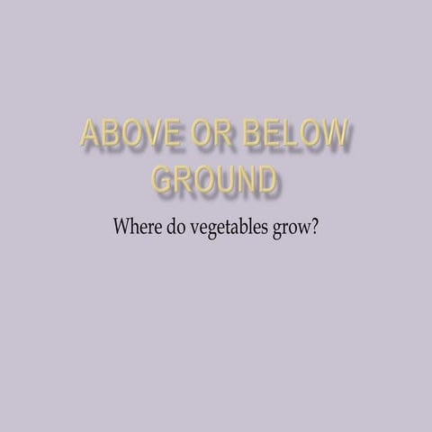 Above Or Below Ground | PPSX