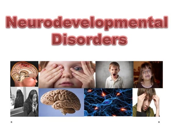 Neurodevelopmental disorders | PPT