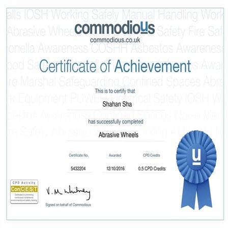 Abrasive Wheels Certificate | PDF