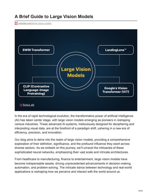 Large Vision Models Explained Transforming AI.pdf