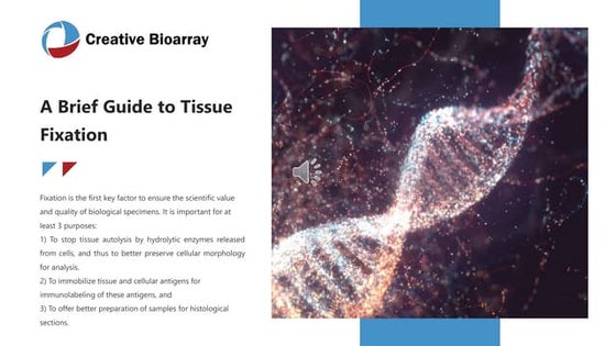 Principles, Methods and Types of Fixatives | PPTX | Biological Sciences ...