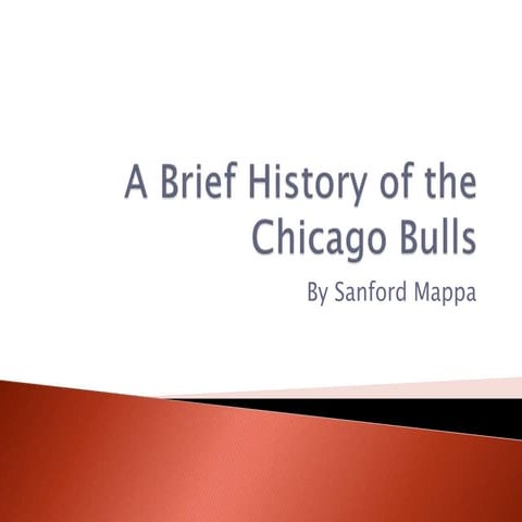 Chicago bulls | PPSX