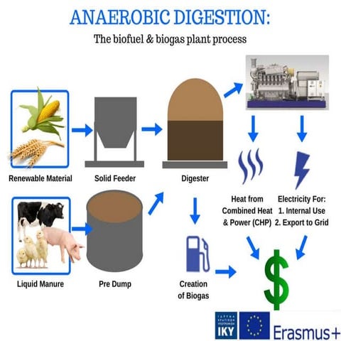anaerobic digestion, modular design and eco dedign | PPT