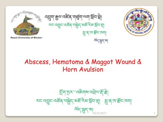 Surgical instruments | PPT