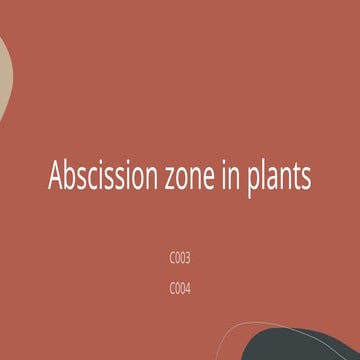 Abscission zone in plants, how the leaves fall off | PPT