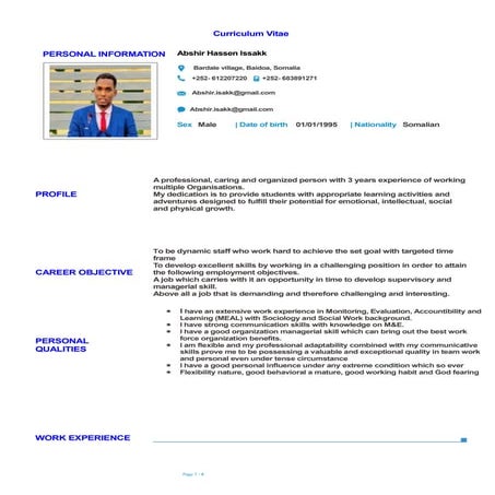 Abshir CV.docx