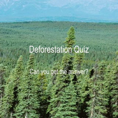 Absolutely totally correct deforestation quiz | PPT