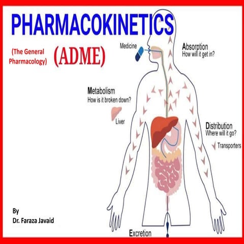 Absorption Pharmacokinetics.pptx