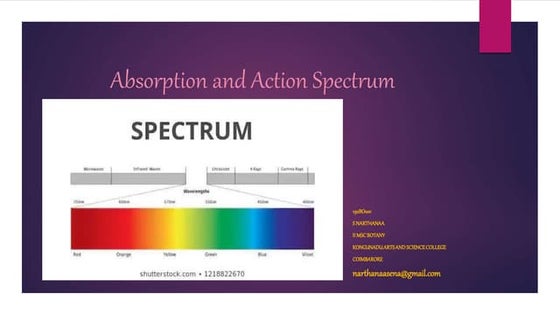 Light reaction of photosynthesis | PPT