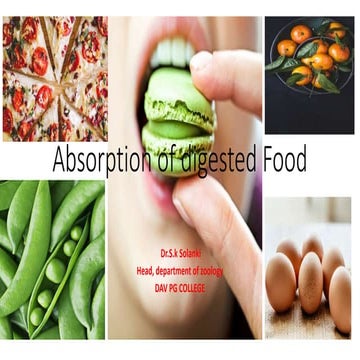 Absorption and digestion of food | PPTX | Chemistry | Science