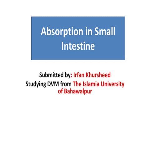 Absorption in small Intestine | PDF