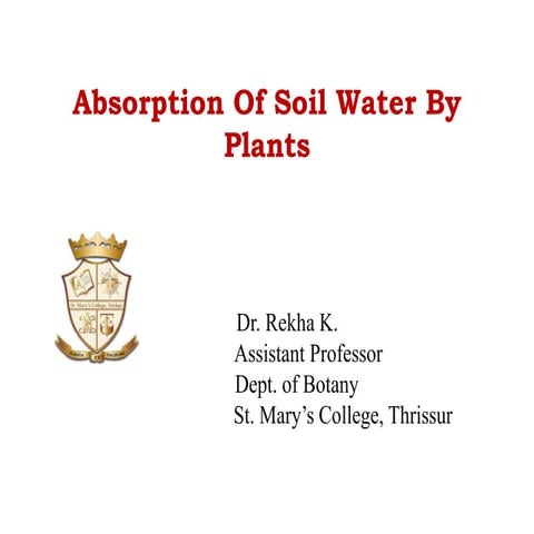 Absorption Of Soil Water By Plants | PPTX