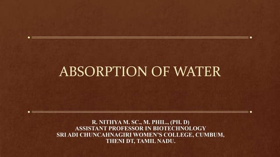Absorption of water ppt | PPT | Gardening | Home & Garden