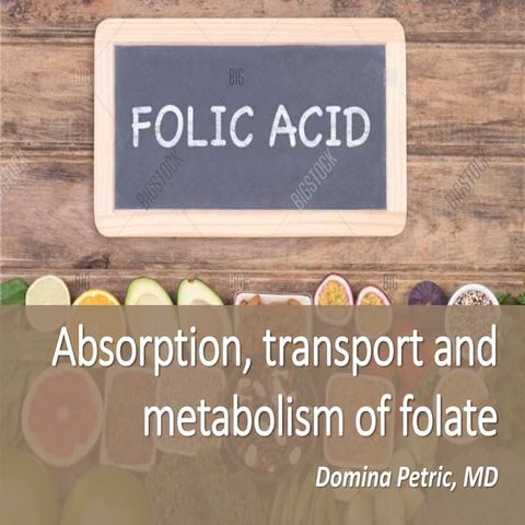 Folate Absorption