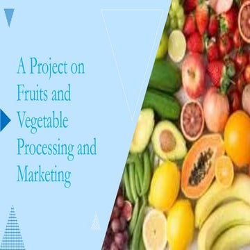 A business plan to start a fruit and vegetables processing industry | PPTX