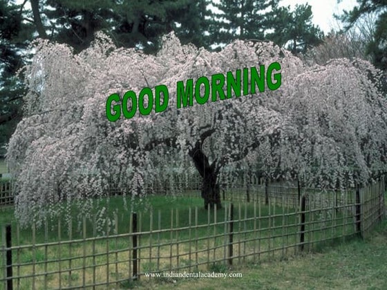 Diagnosis_and_tt_planning_in_FDP_II .ppt