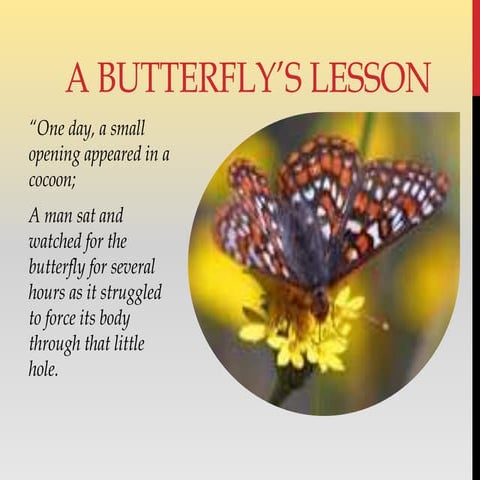 A Butterfly’s Lesson | PPTX