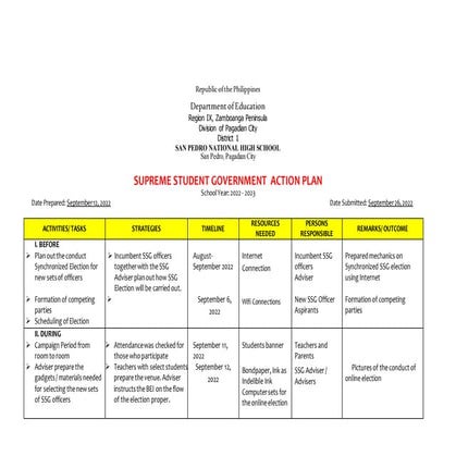 Action plan ssg | DOCX