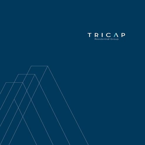 Tricap Company Overview April 2016 | PDF
