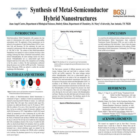 Poster_Metal-Semiconductor Hybrid Nanostructures | PPT