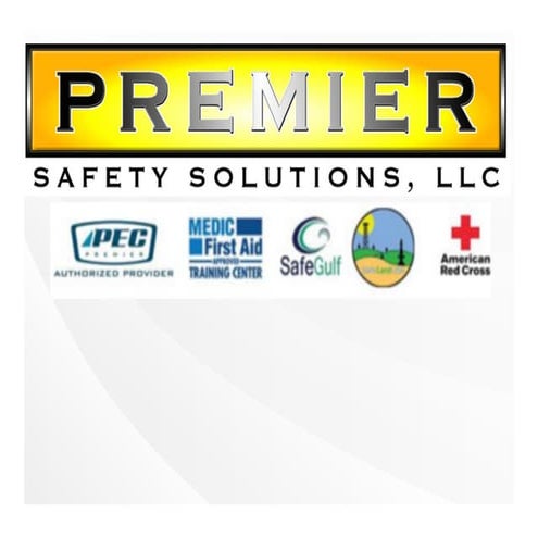 Premier Logo 2 | PDF