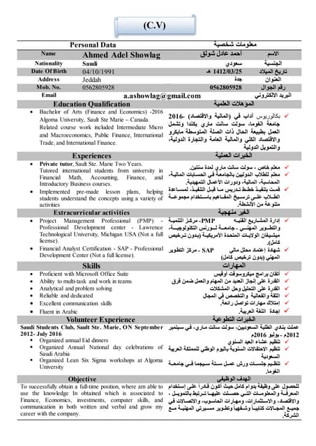 احمد عادل محاسب Ar & Eng CV | PDF