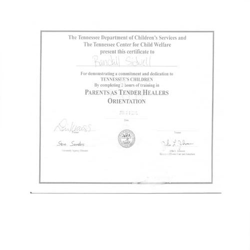 Child Development Certificates | PDF | Adoption and Fostering | Parenting