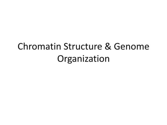 STRUCTURE AND ORGANIZATION OF CHROMATIN | DOC