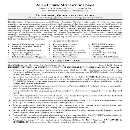 Alaa Soliman Cv Pdf