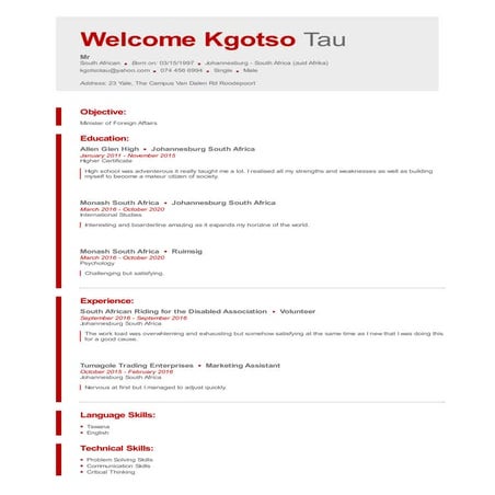 CurriculumVitae (1) | PDF