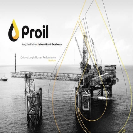 1.PROIL.O&HP | PDF