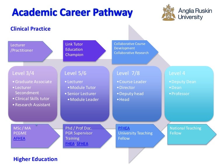 Academic career pathway Anglia Ruskin University (1)