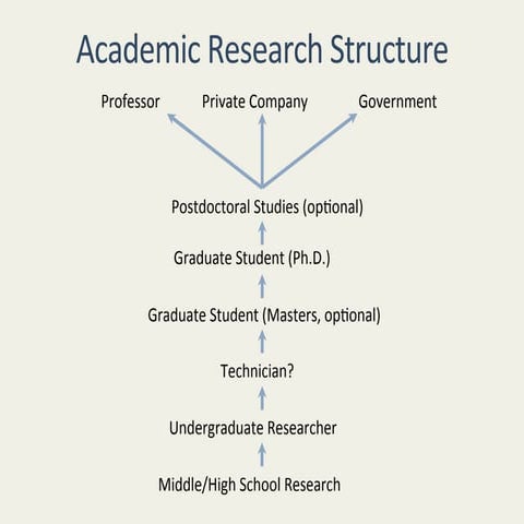 Academic structure | PDF
