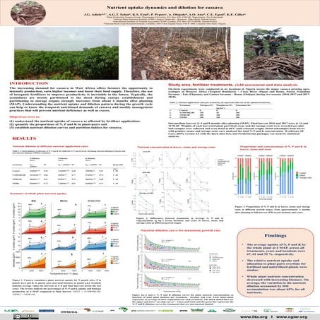 Viamo 321 presentation | PPTX