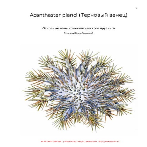 Acanthaster planci | PDF