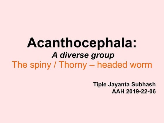 Acanthocephala .pptx