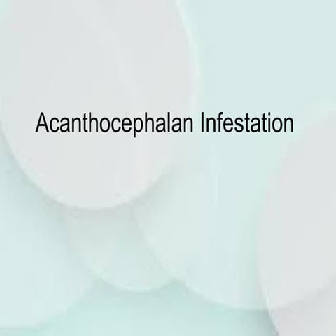 Acanthocephala .pptx