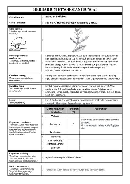 POSTER MODUL TS25 Modul 1.pdf