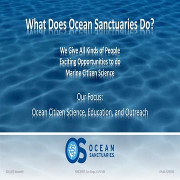 What Does Ocean Sanctuaries Do?' | PPT
