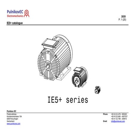 A catalogue of ie5+ asynchronous motors | PDF